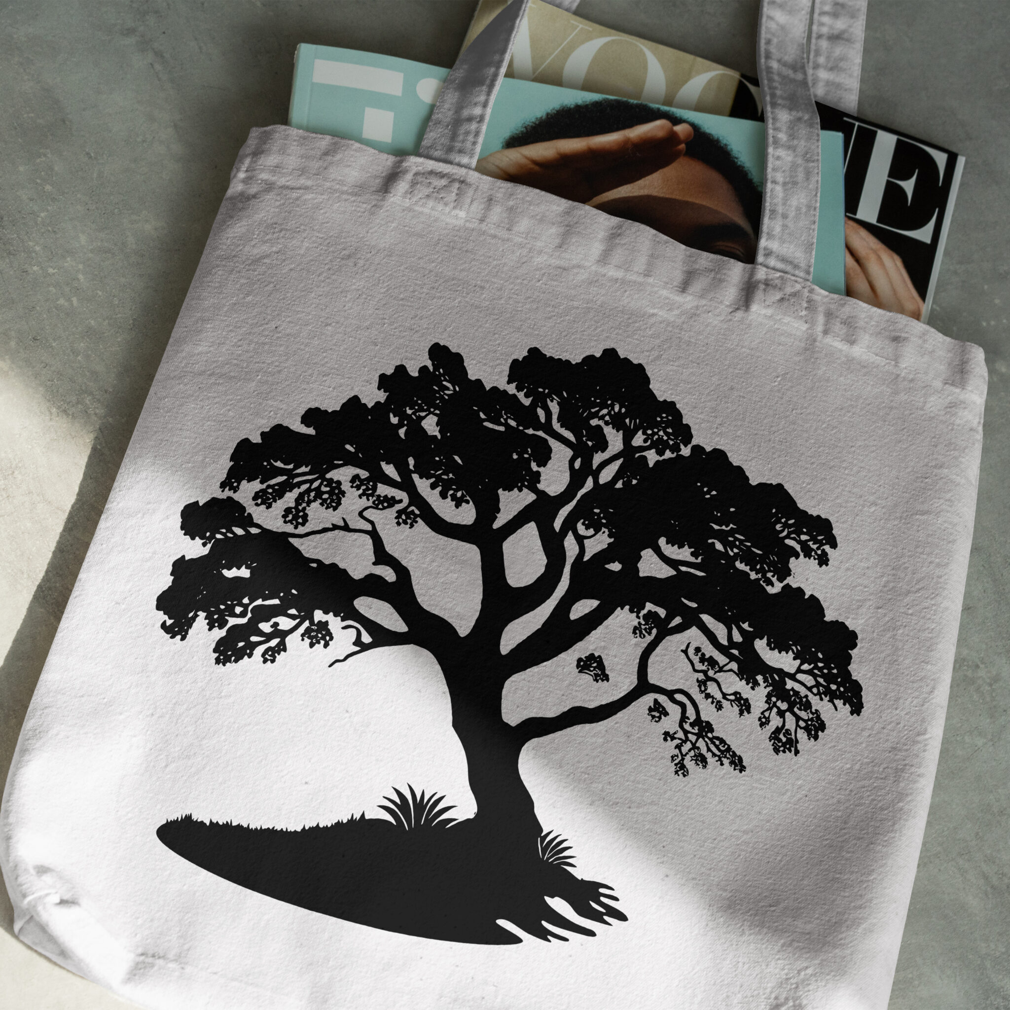 Oak Tree – Creative Meadow