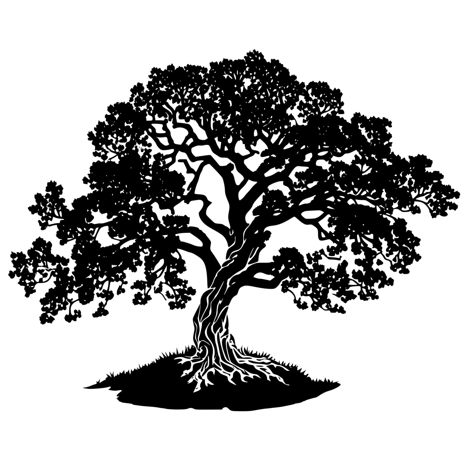 Oak Tree – Creative Meadow