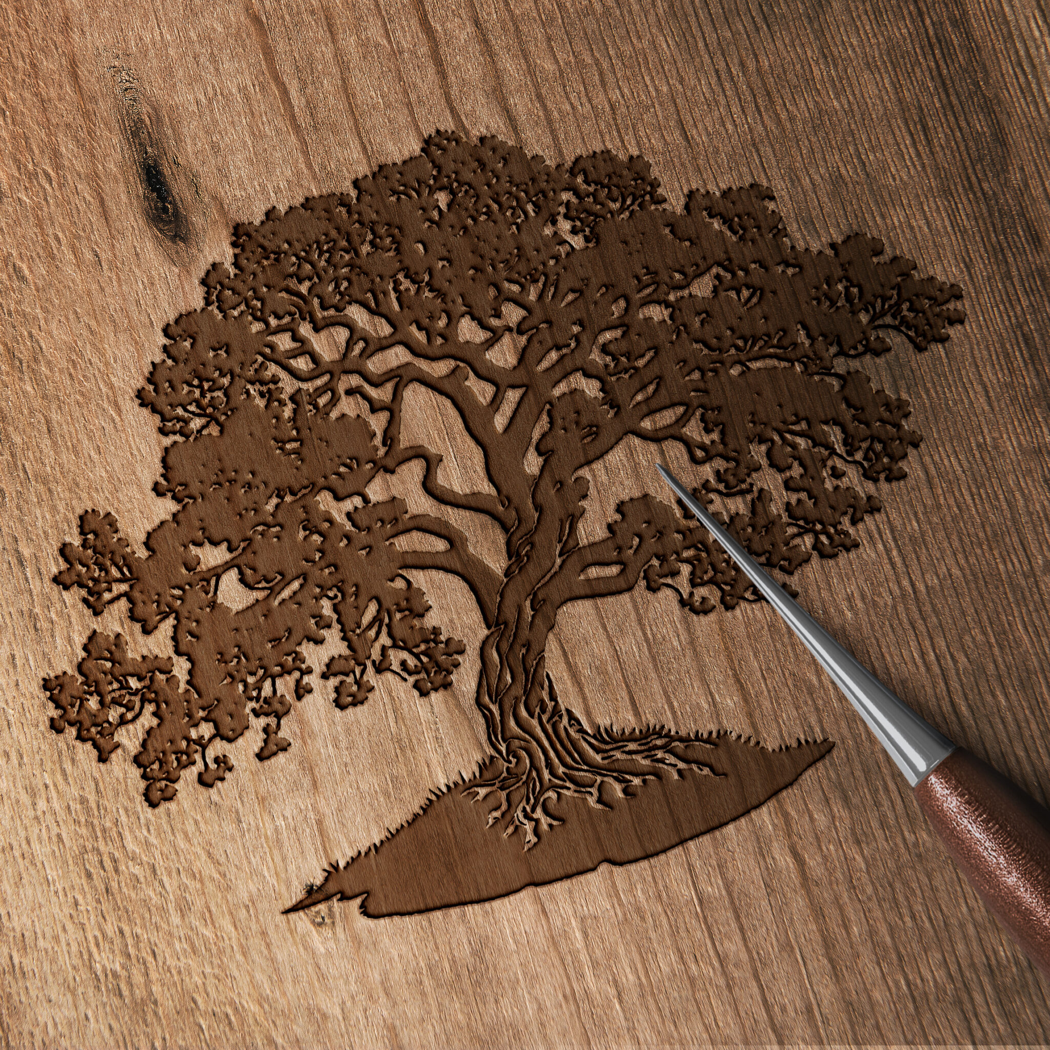 Oak Tree – Creative Meadow