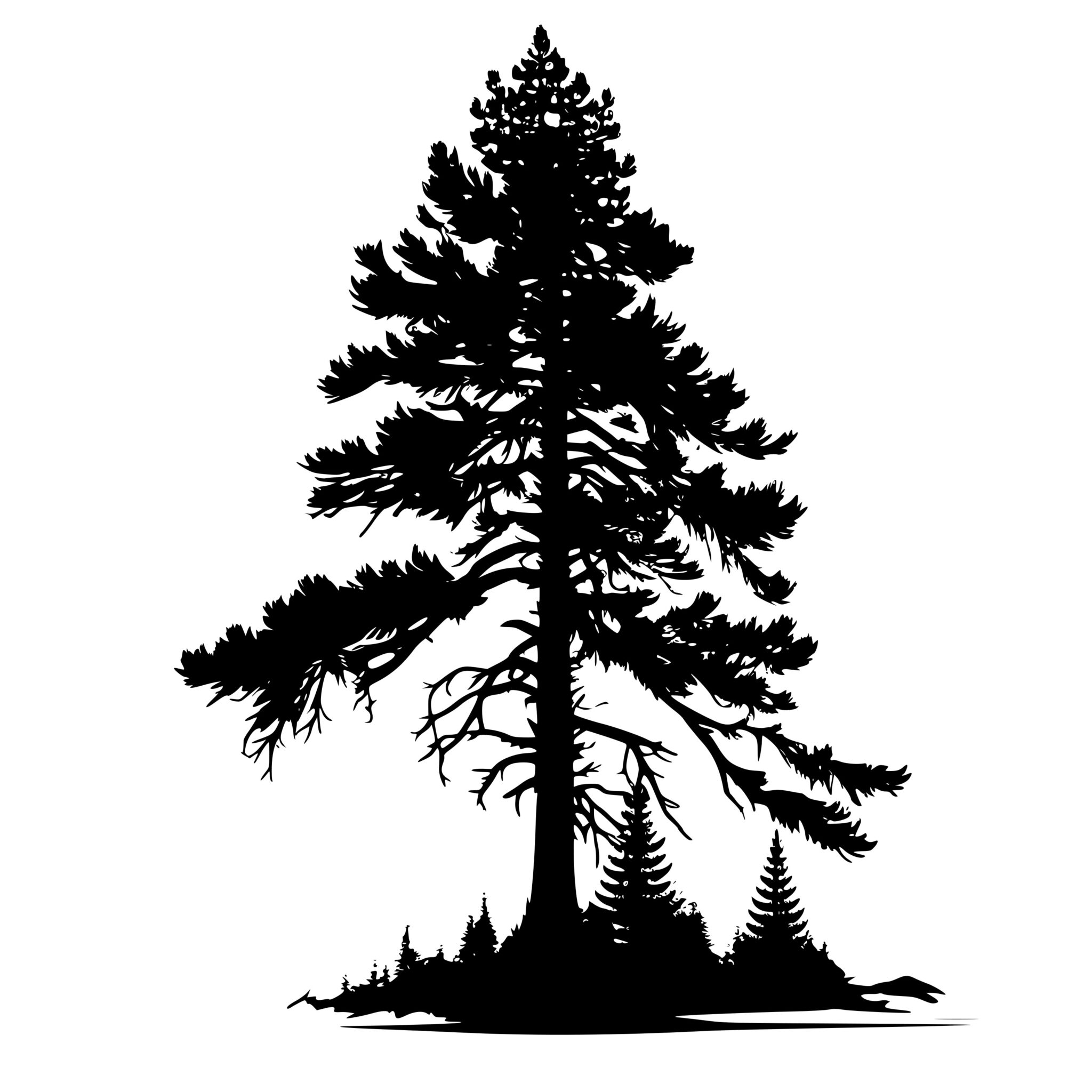 Sequoia Tree SVG File: Instant Download for Cricut, Silhouette, Laser