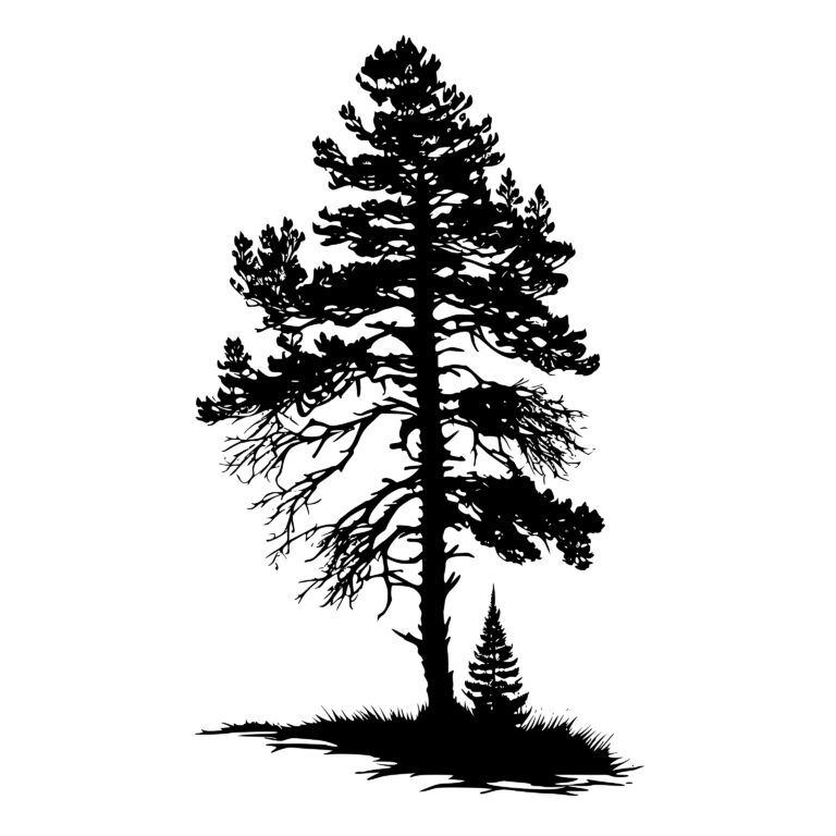 Sequoia Tree SVG File: Instant Download for Cricut, Silhouette, Laser