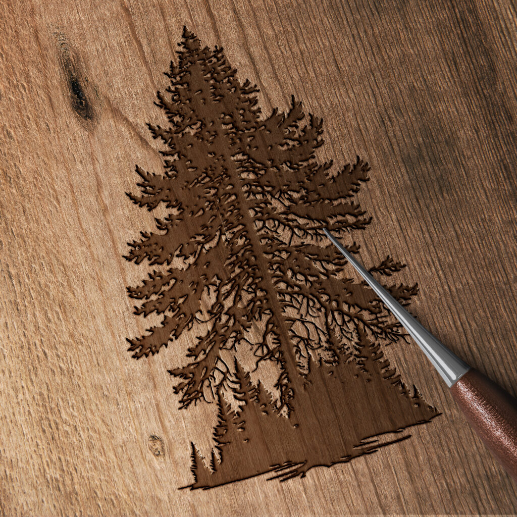 Spruce Tree – Creative Meadow