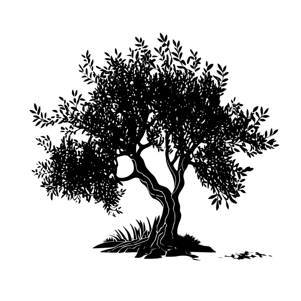 Instant Download Olive Tree SVG File for Cricut, Silhouette, Laser