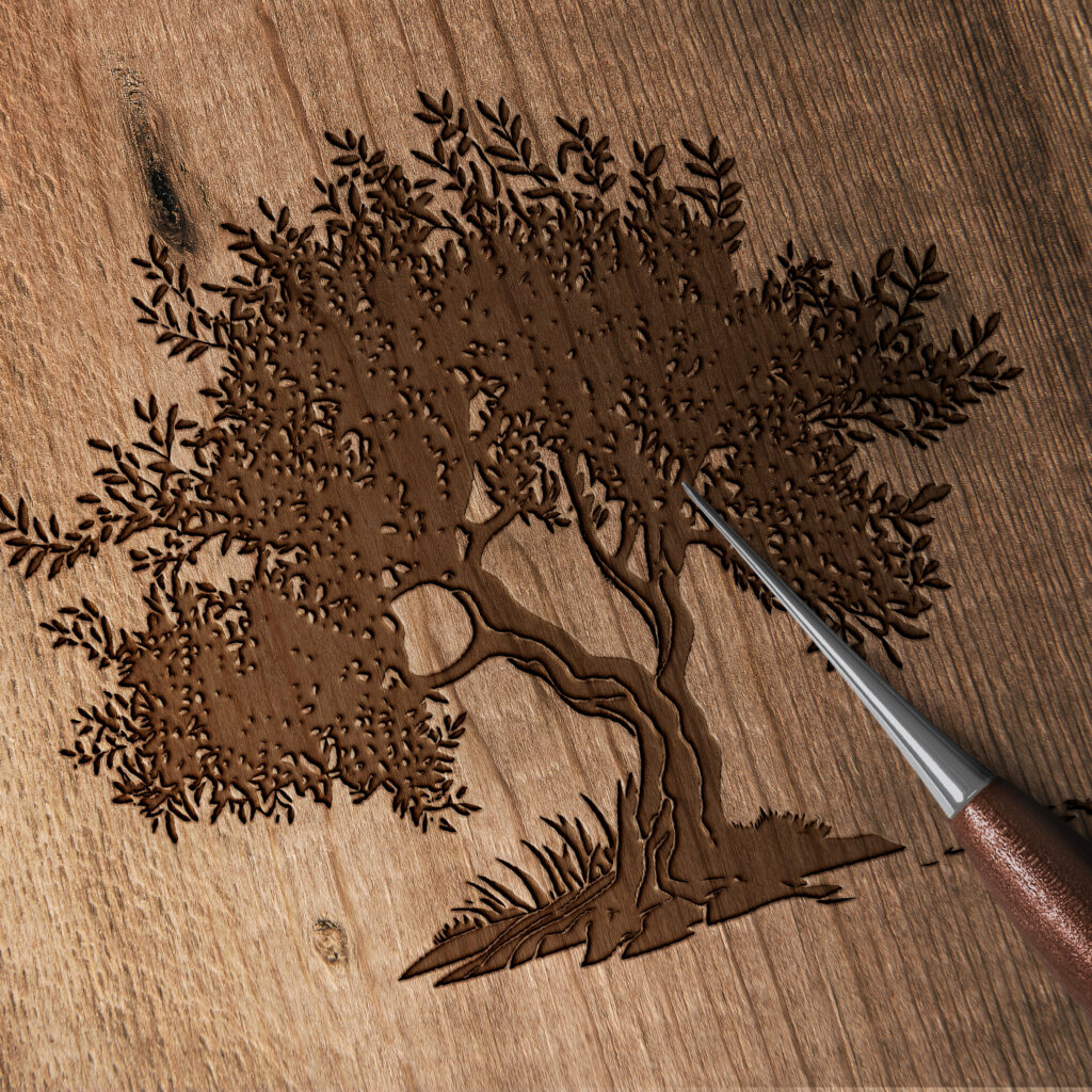 Olive Tree – Creative Meadow