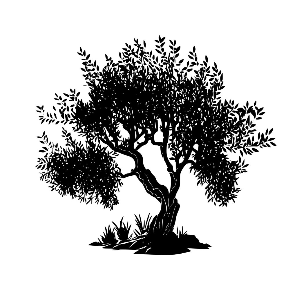 Olive Tree SVG File for Cricut, Silhouette, Laser Machines