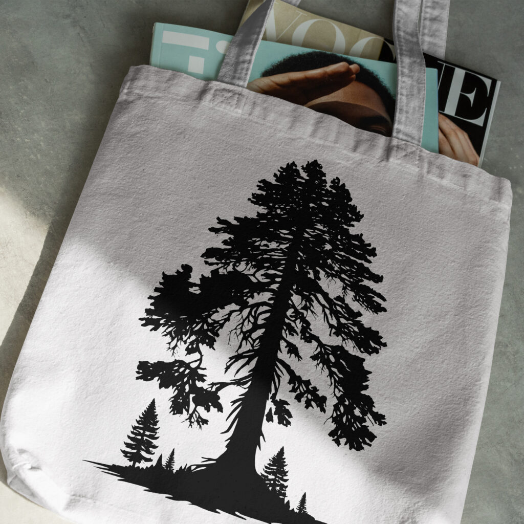 Sequoia Tree – Creative Meadow