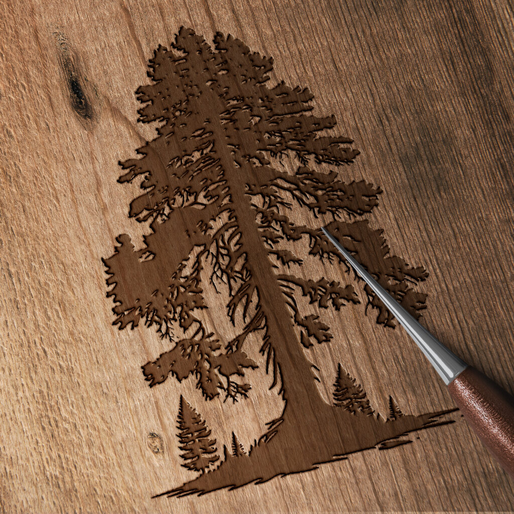 Sequoia Tree – Creative Meadow