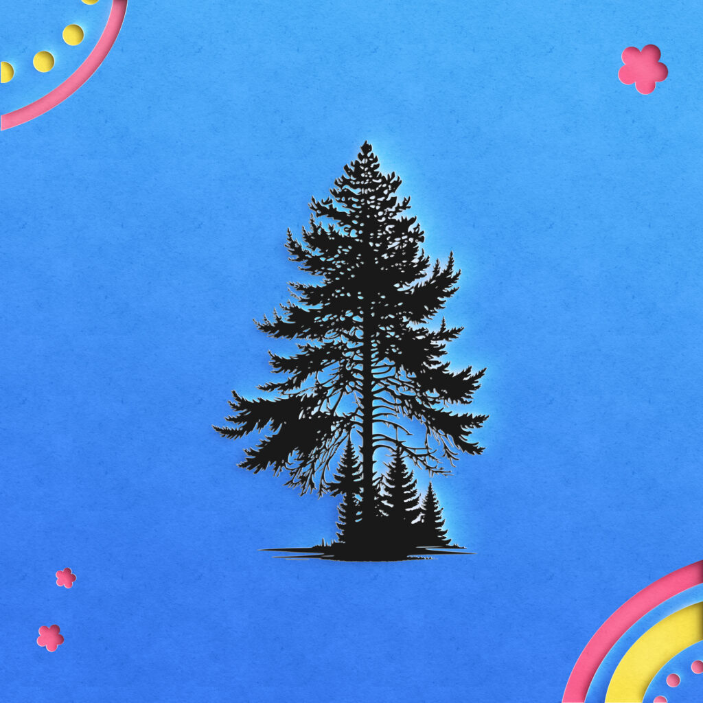 Spruce Tree – Creative Meadow