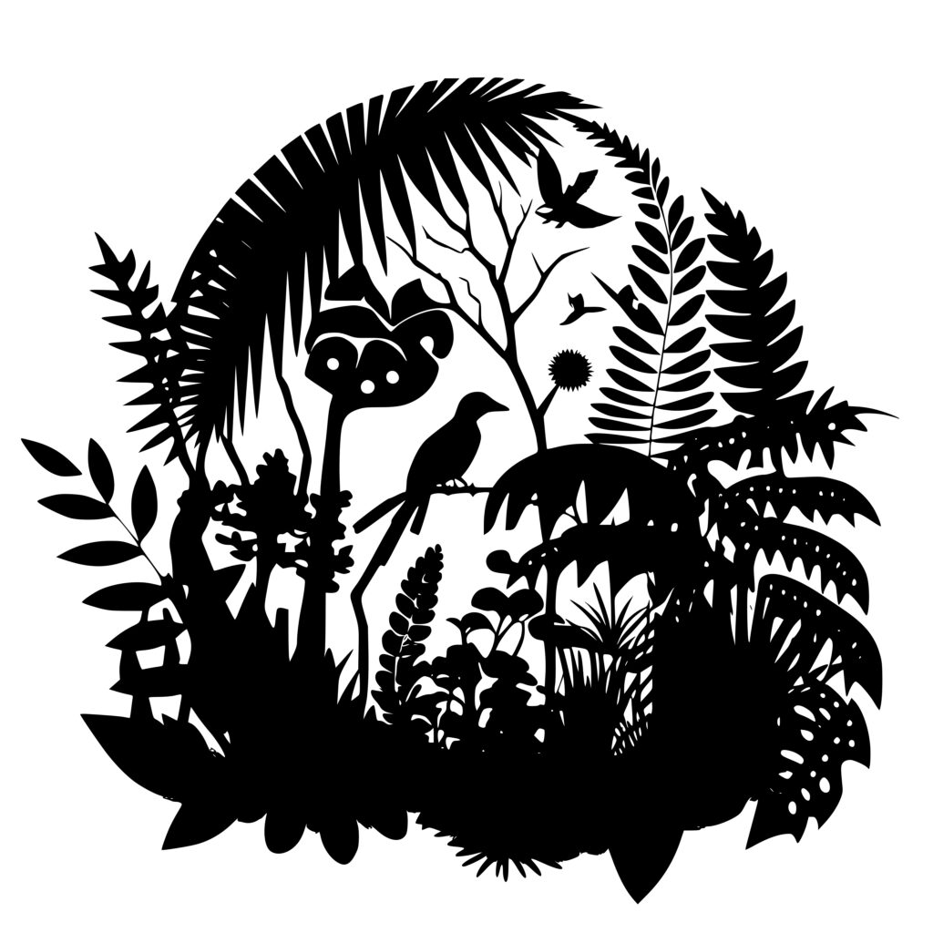 Rainforest – Creative Meadow