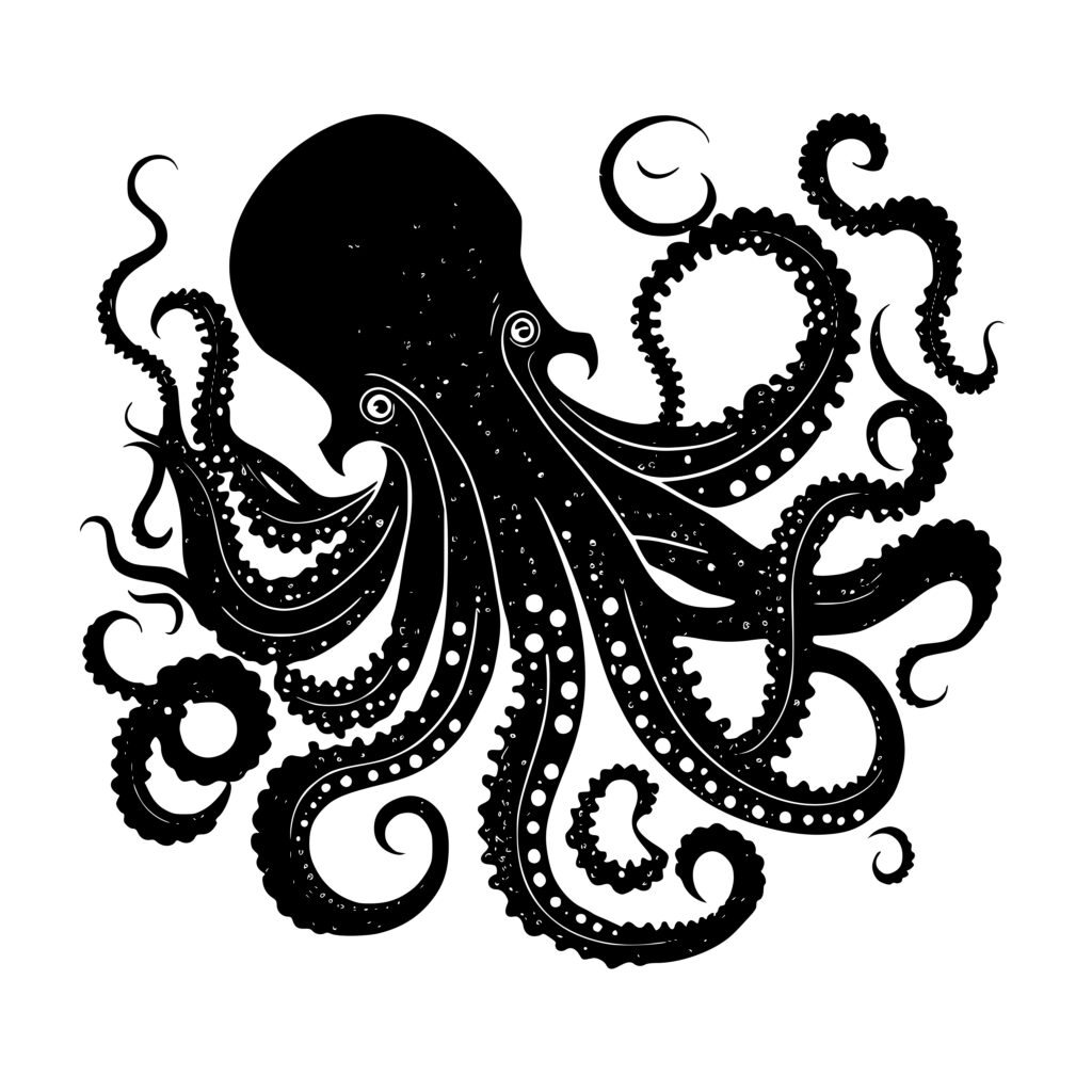 Octopus – Creative Meadow