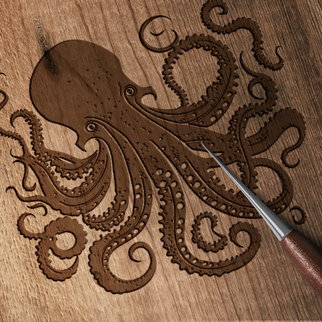 Octopus – Creative Meadow