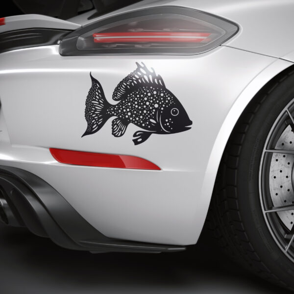 Fish – Creative Meadow