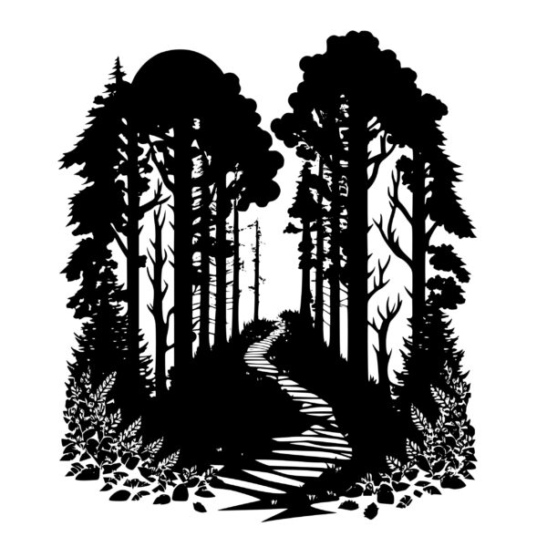 Forest Trail – Creative Meadow