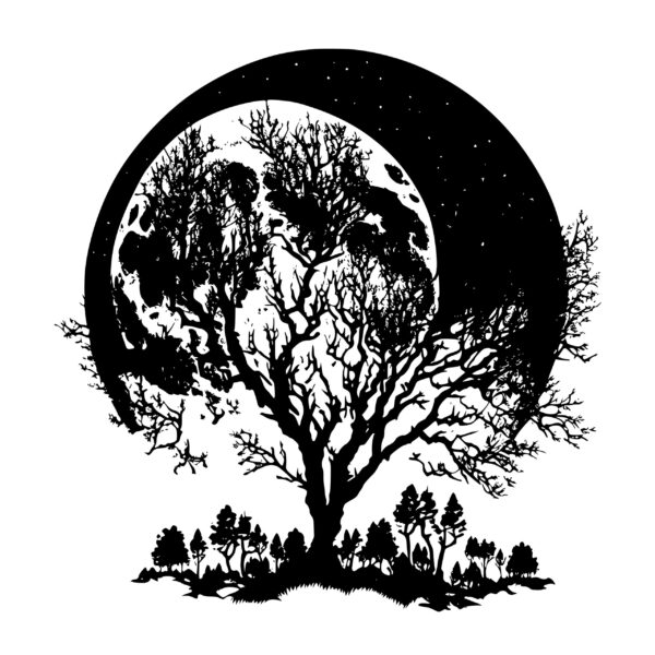 Full Moon – Creative Meadow