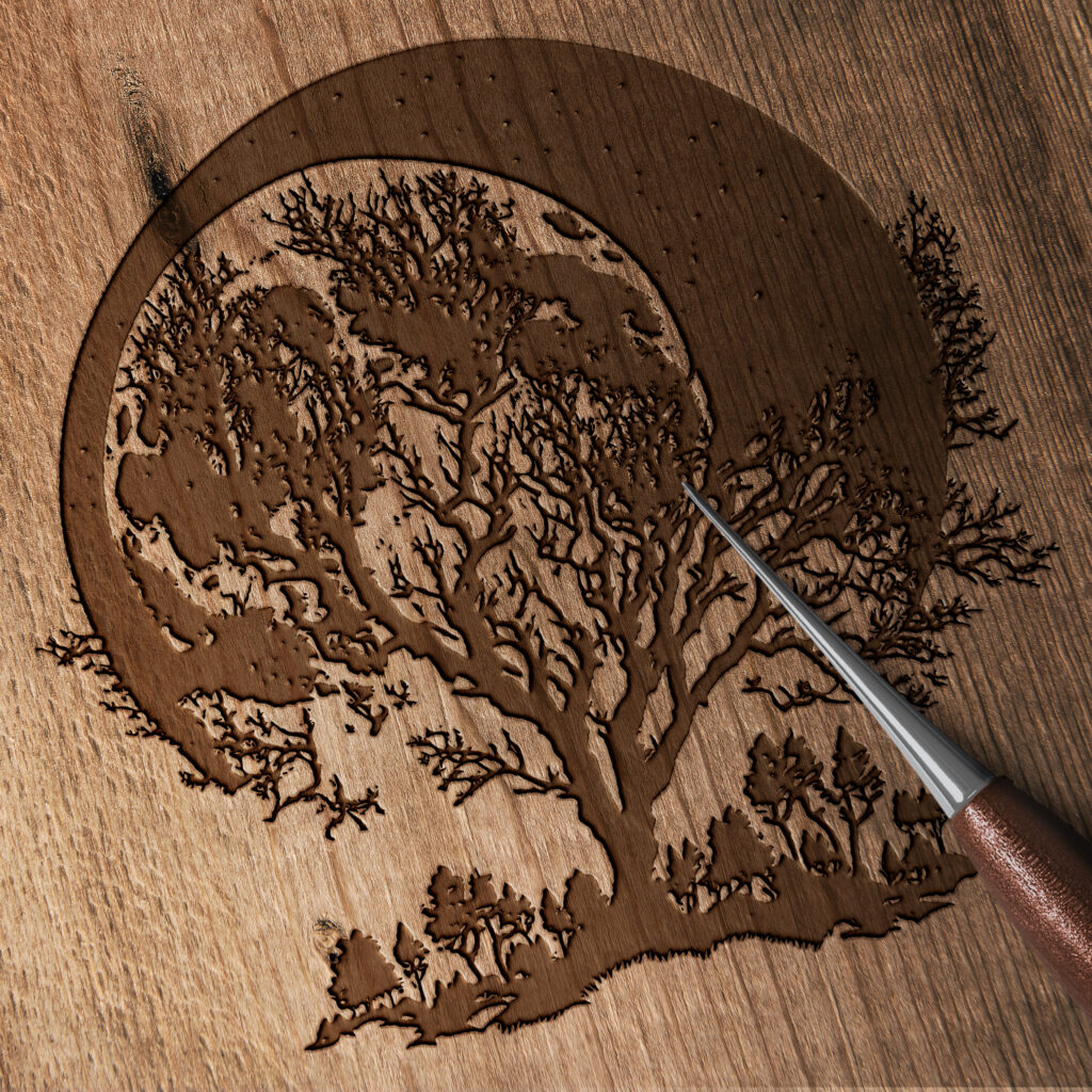Full Moon – Creative Meadow