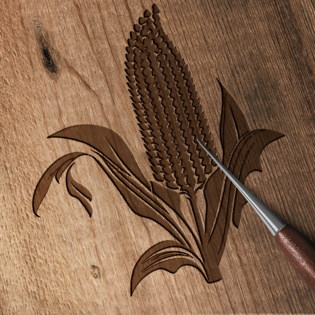 Corn – Creative Meadow