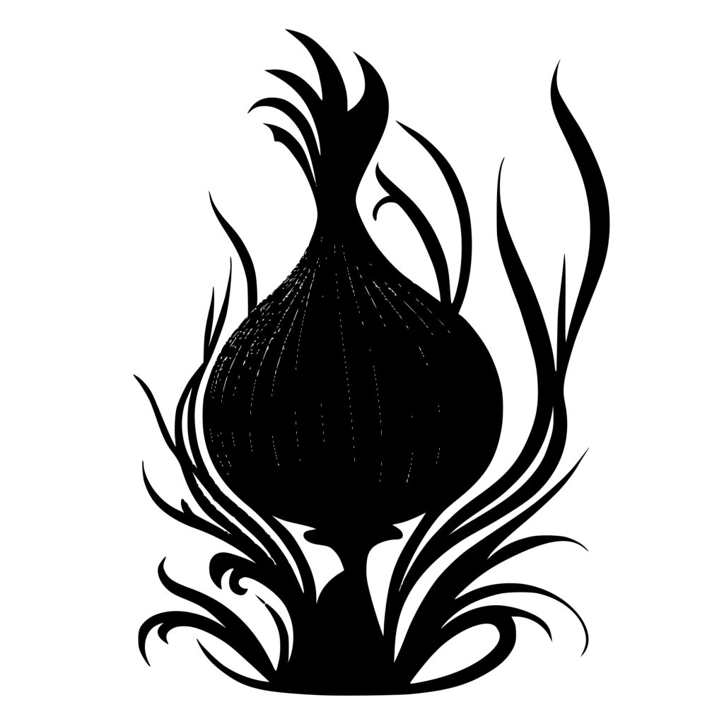 Onion – Creative Meadow