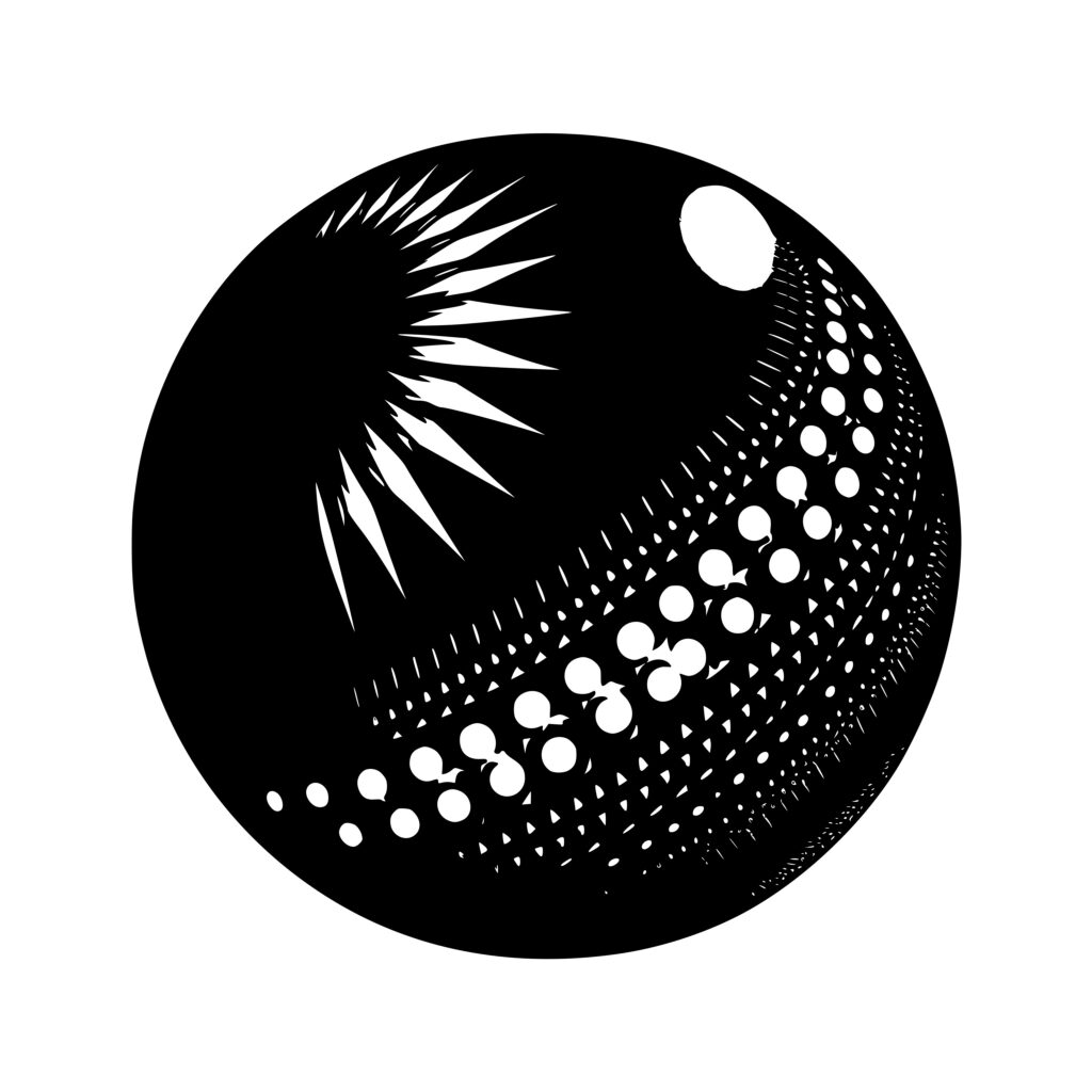 Cricket Ball SVG File for Cricut, Silhouette, Laser Machines