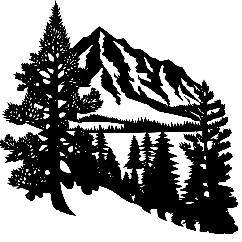 Snowy Mountain – Creative Meadow