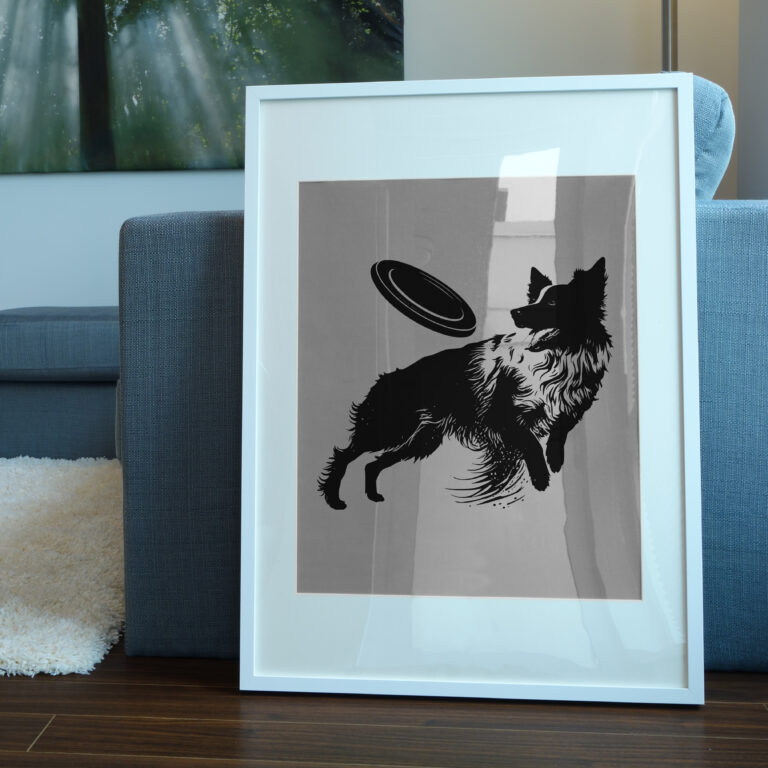 Border Collie with a Frisbee – Creative Meadow