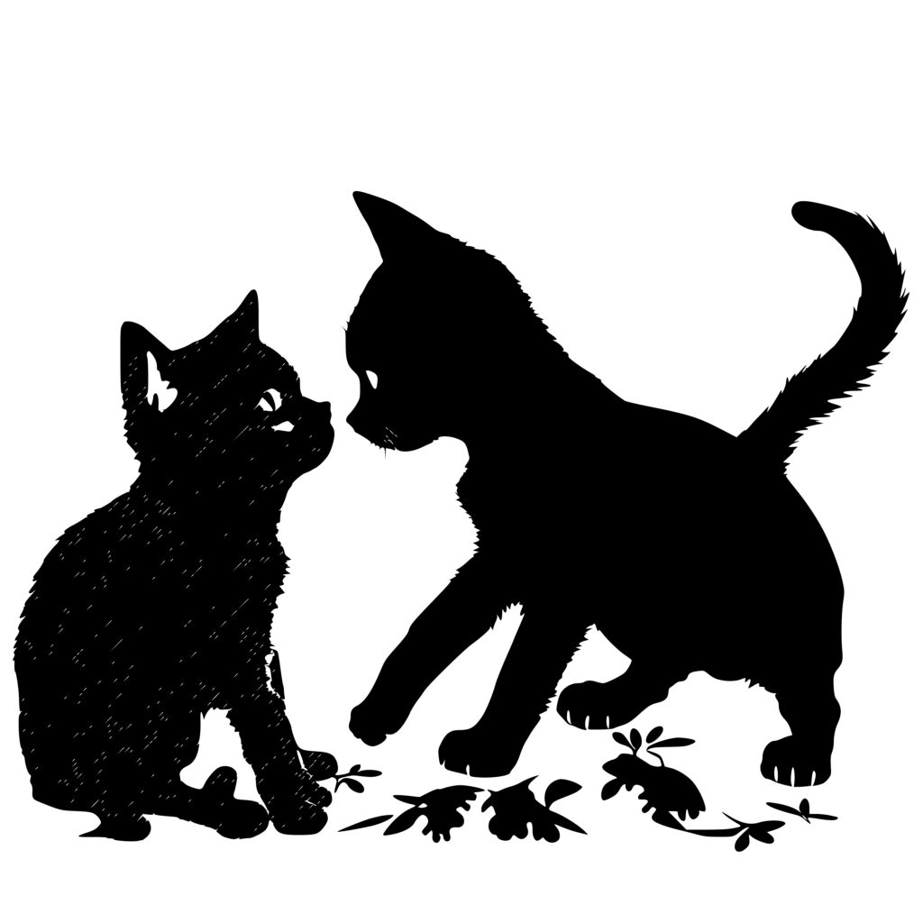 Kittens Playing Together – Creative Meadow