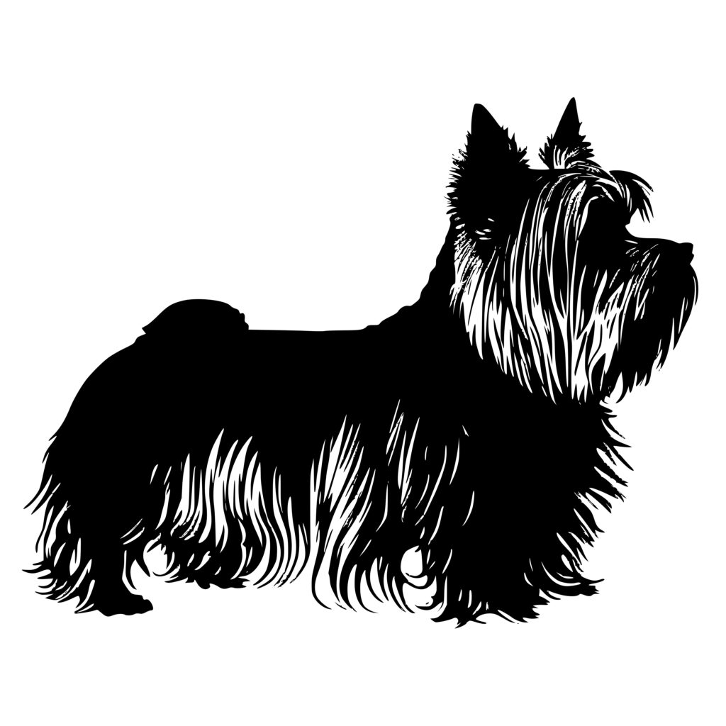 Yorkshire Terrier SVG Image: Perfect for Cricut, Silhouette, and Laser ...