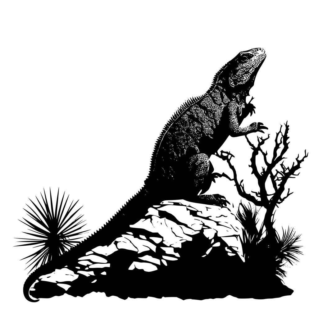 Iguana On A Rock SVG File for Cricut, Silhouette, Laser Machines