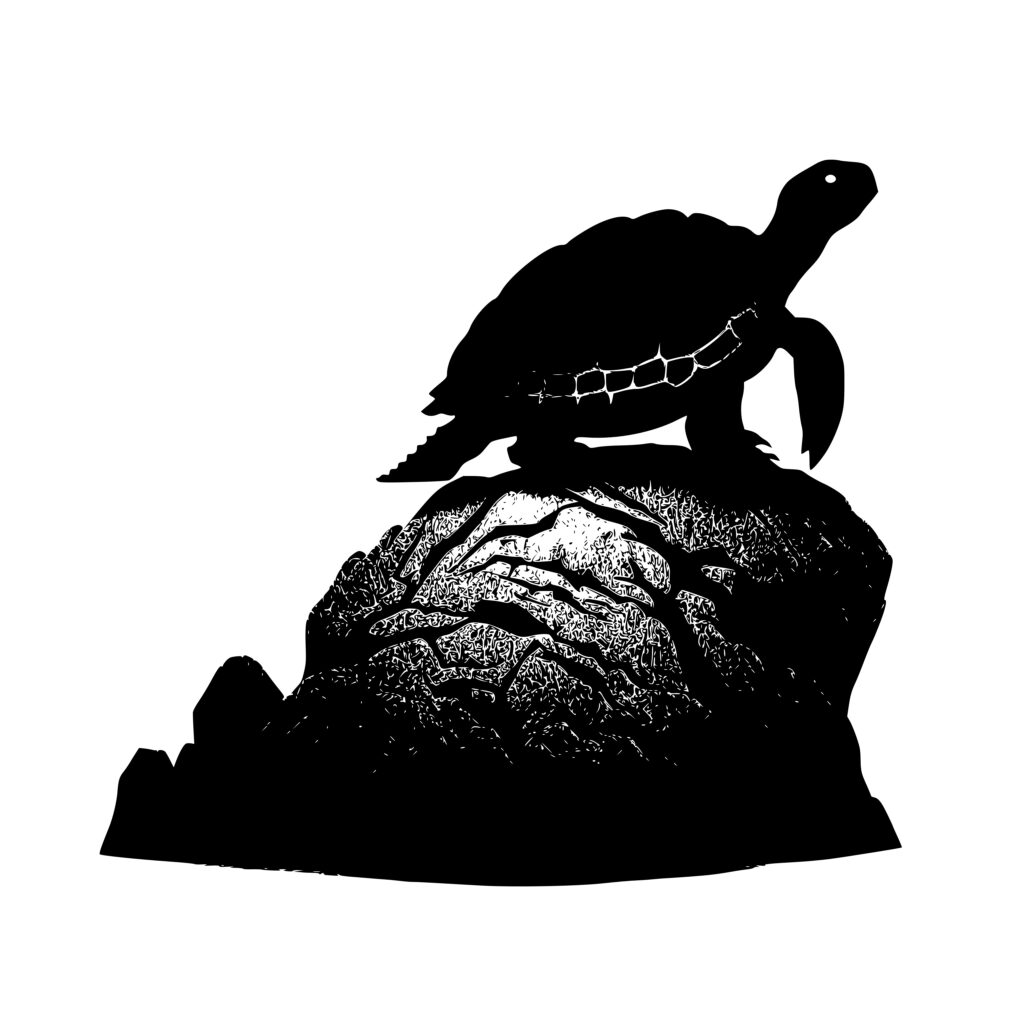 Turtle On A Rock SVG File for Cricut, Silhouette, Laser