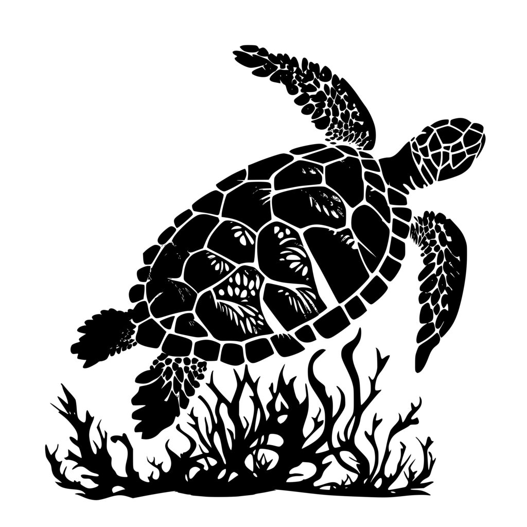 Turtle – Creative Meadow