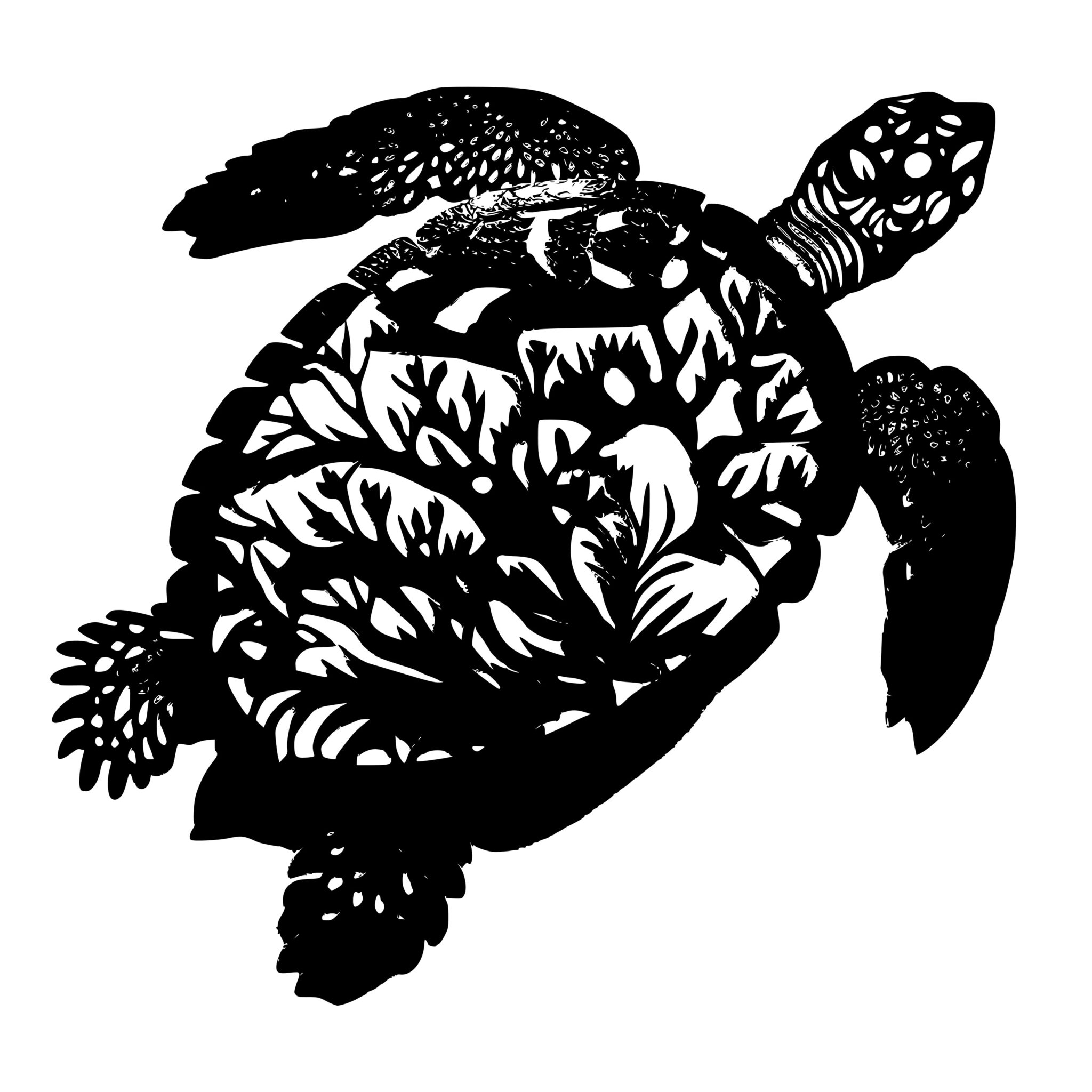 Turtle – Creative Meadow