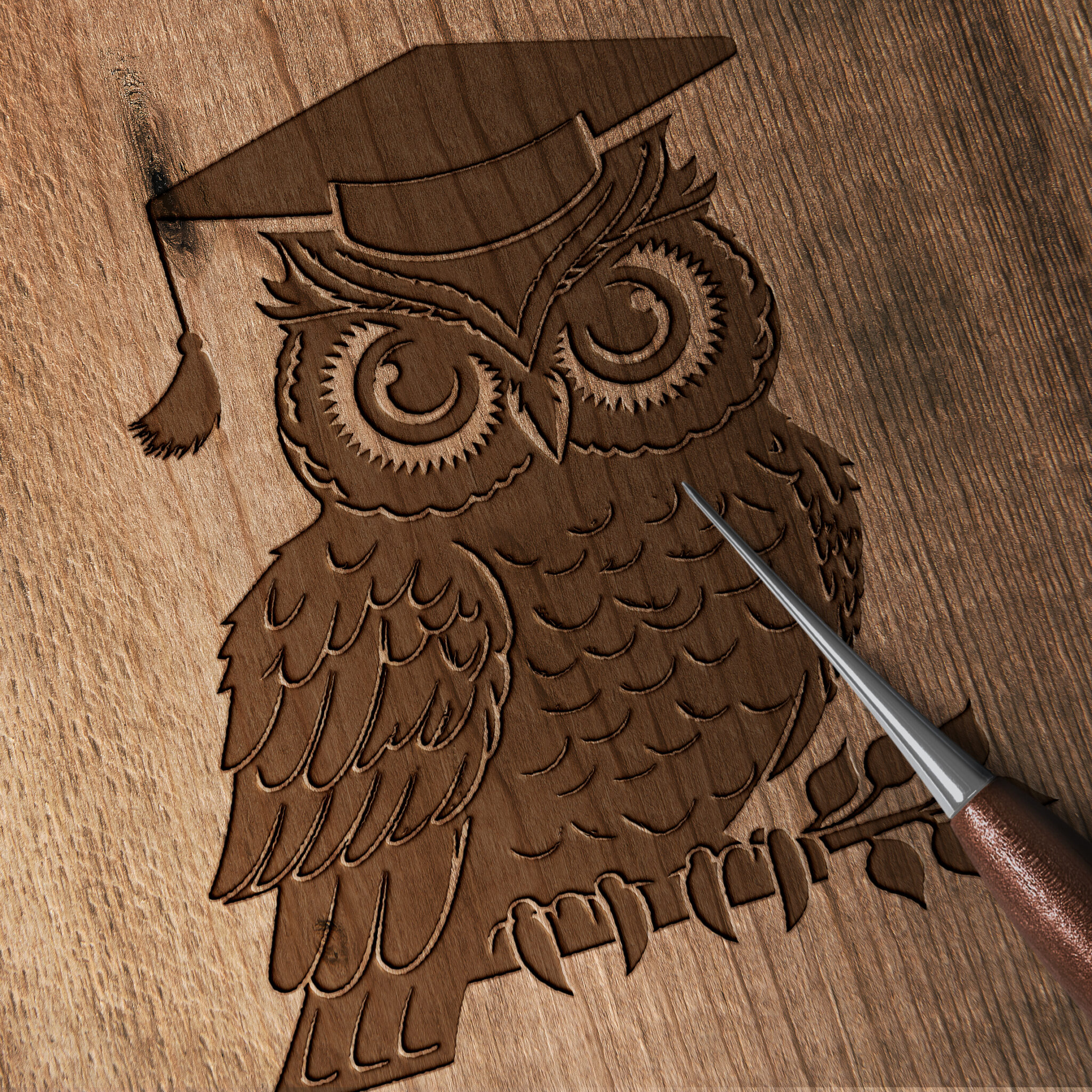 Owl with Graduation Cap – Creative Meadow