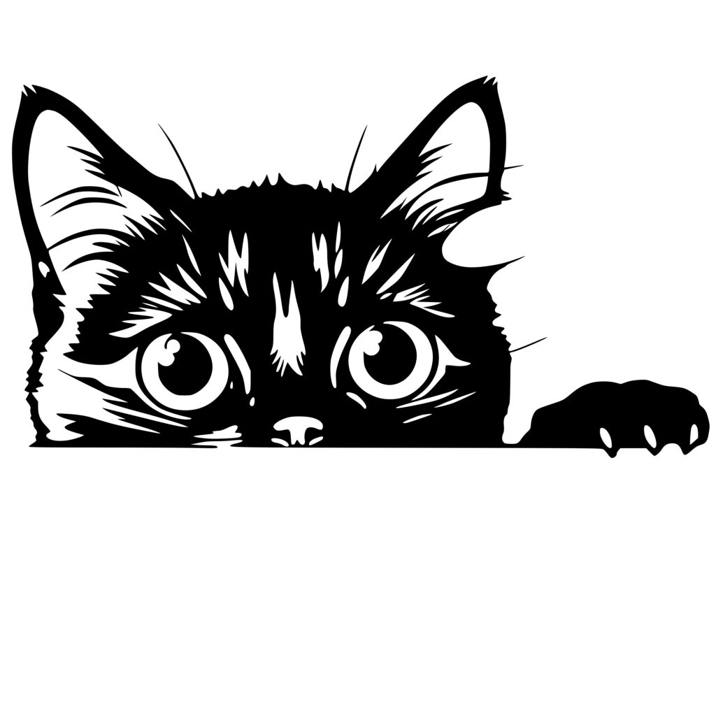 Cat Peeking – Creative Meadow