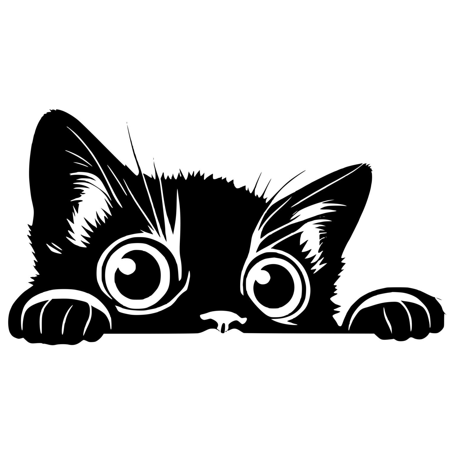 Cute Kitty Peeking – Creative Meadow