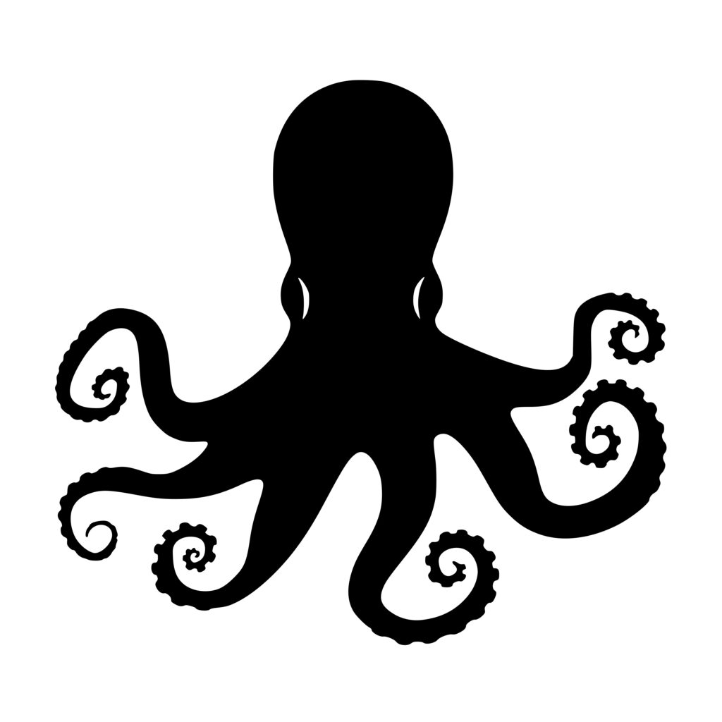Octopus – Creative Meadow