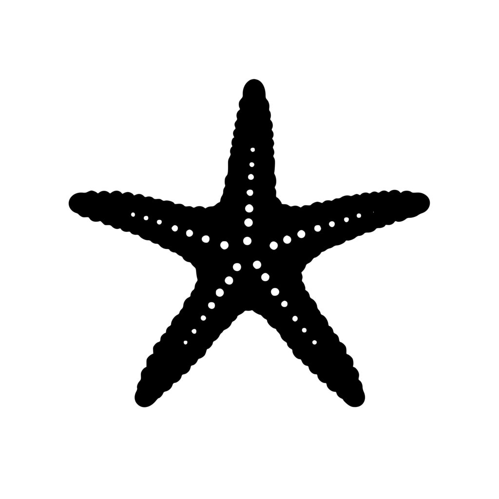 Starfish SVG File: Instant Download for Cricut, Silhouette, Laser Machines