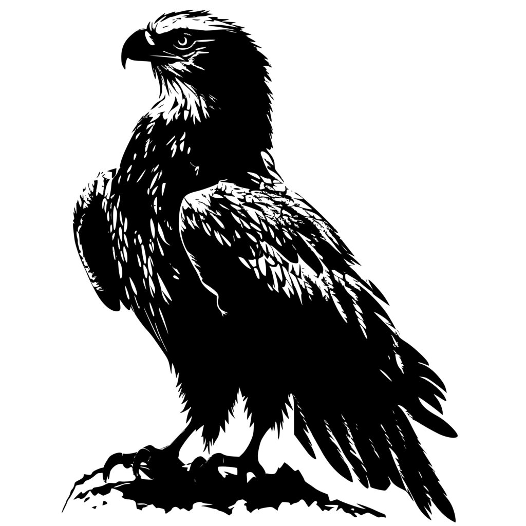 Eagle – Creative Meadow