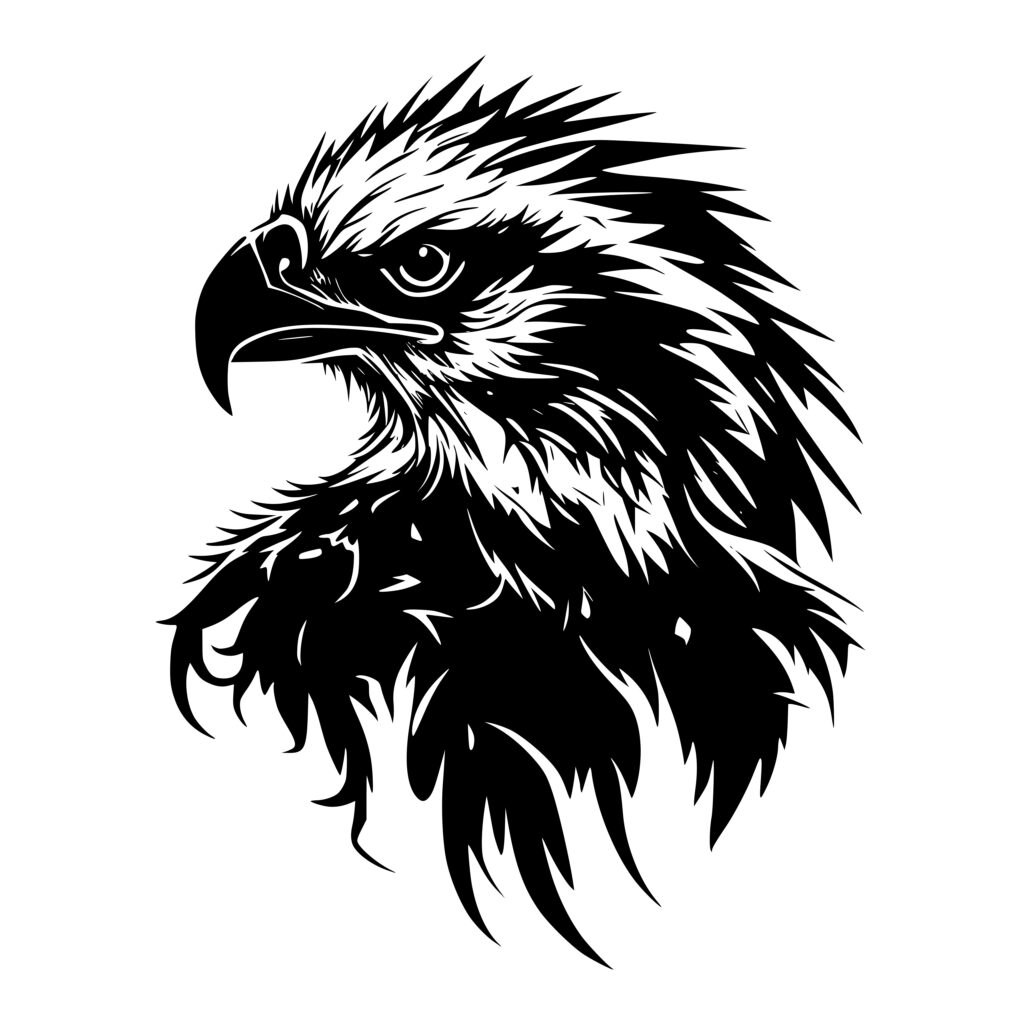 Gorgeous Eagle – Creative Meadow