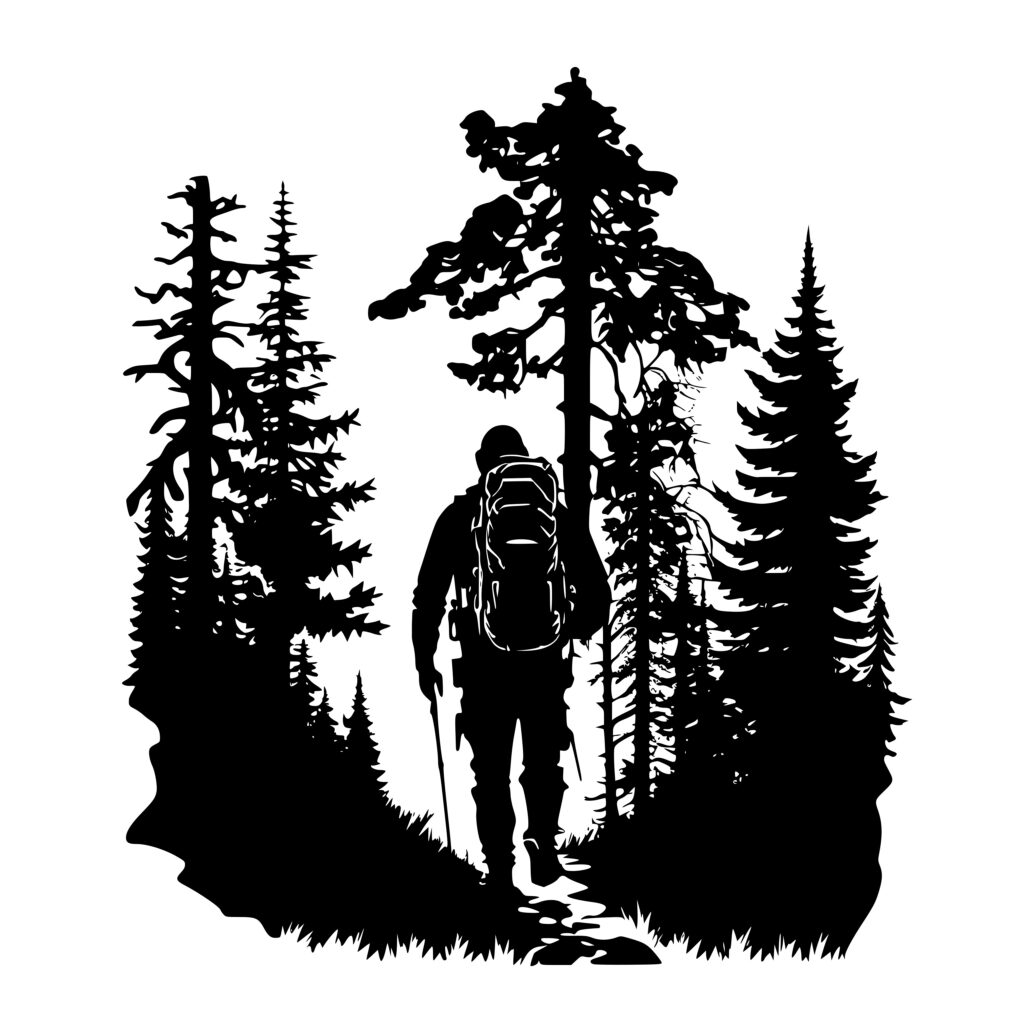 Hiking Along the Treeline – Creative Meadow