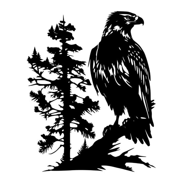 Eagle Bundle – 12 Svg Images – Creative Meadow