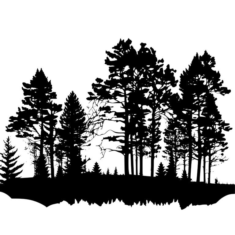 Sequoia Tree SVG File: Instant Download for Cricut, Silhouette, Laser