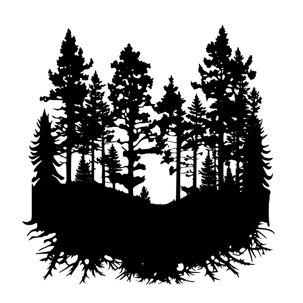 Beautiful Treeline – Creative Meadow