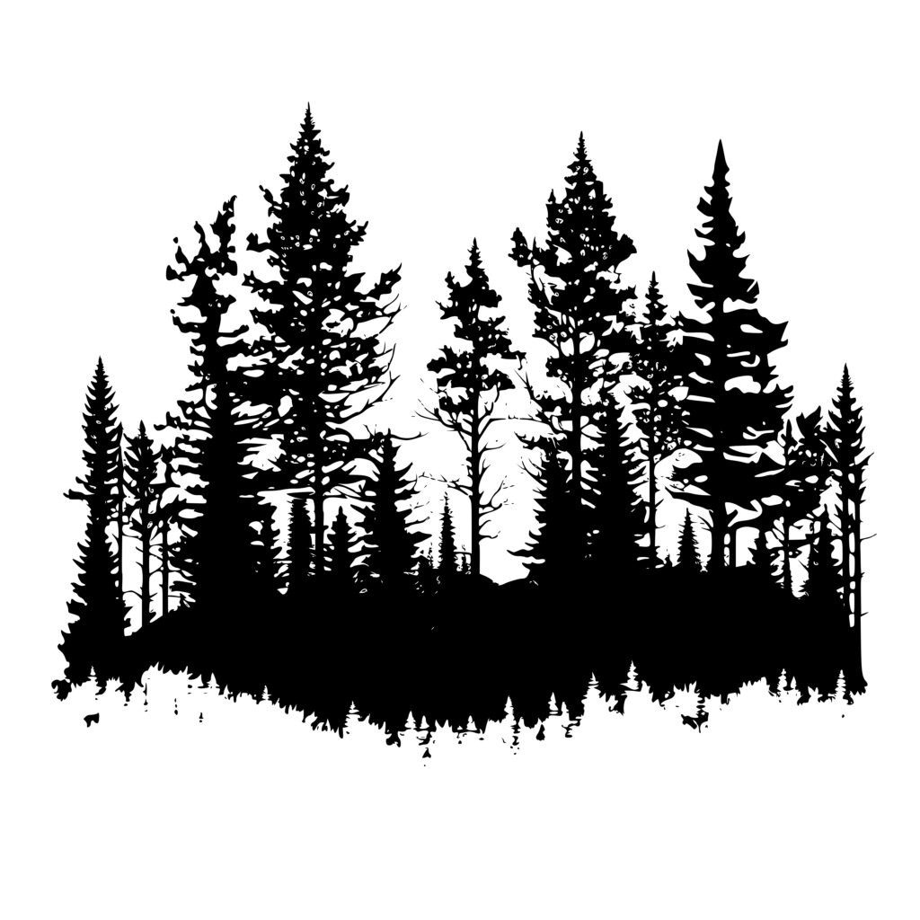 Treeline Wonders – Creative Meadow