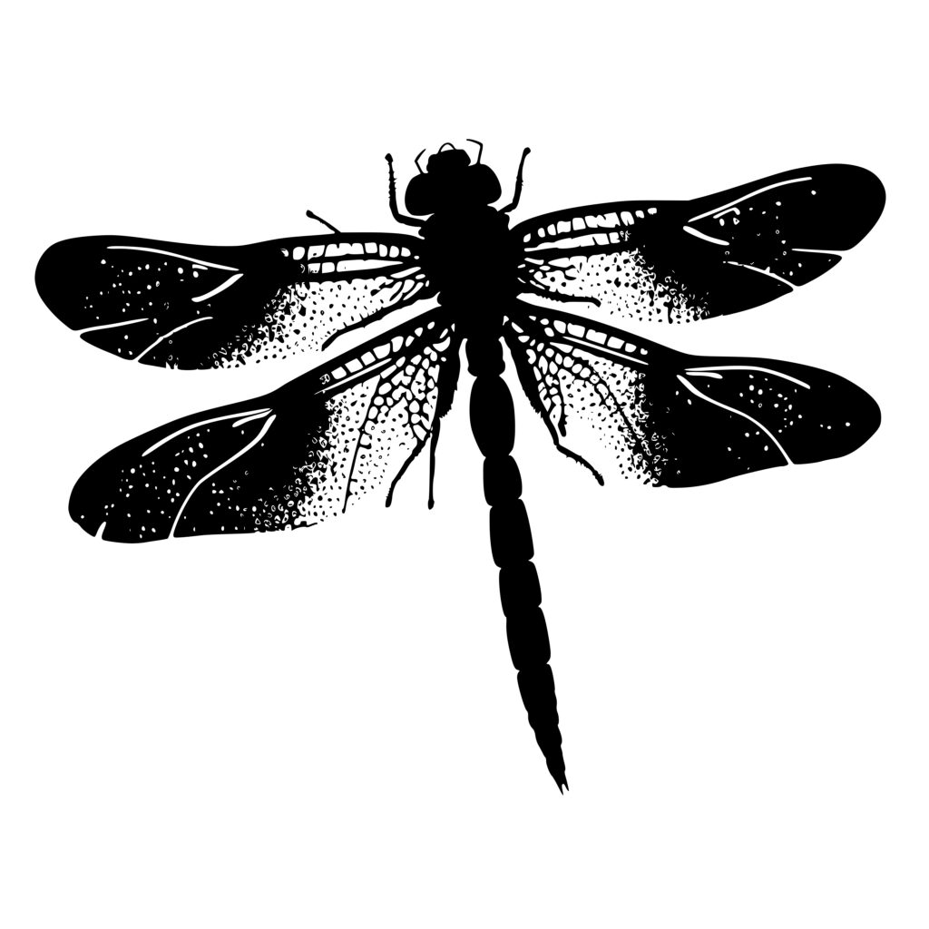 Dragonfly In Flight SVG File for Cricut, Silhouette, Laser Machines