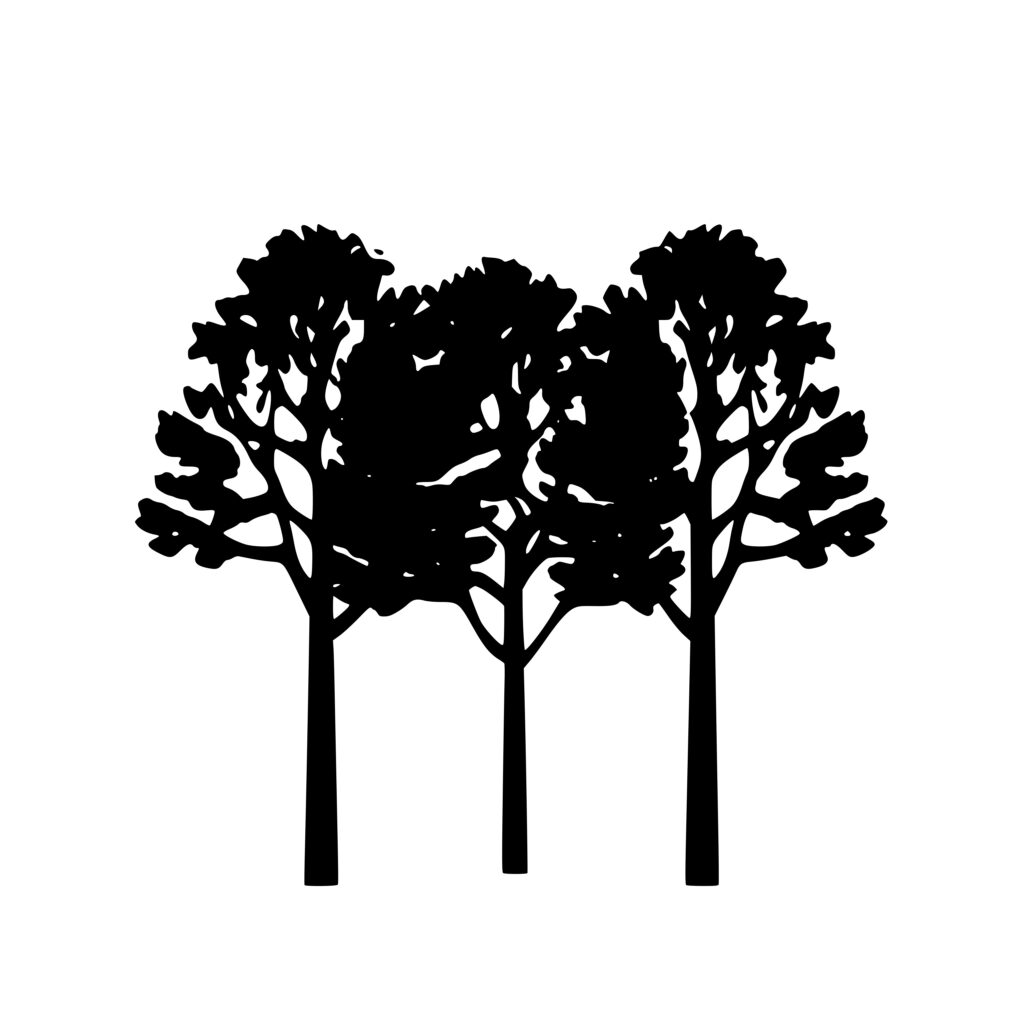 Trees – Creative Meadow