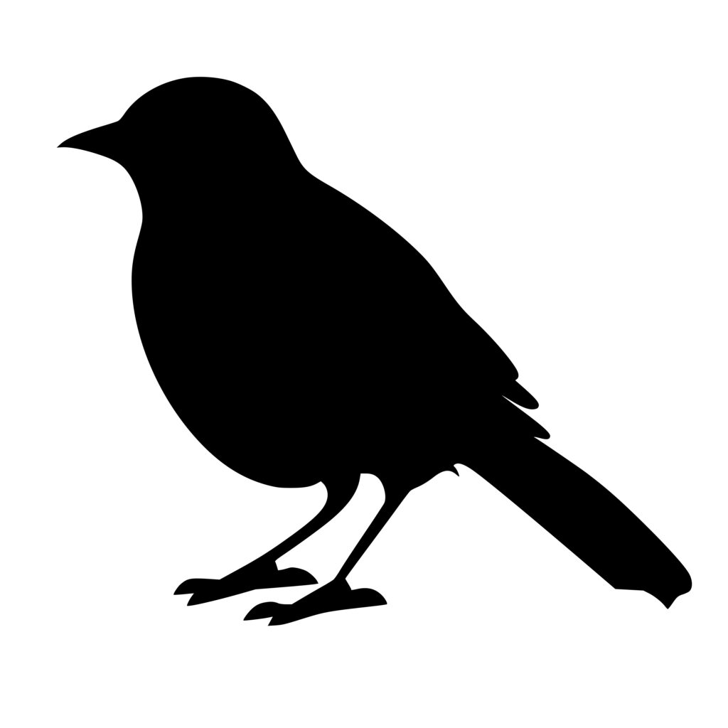 Robin Silhouette SVG File for Cricut, Silhouette, Laser Machines