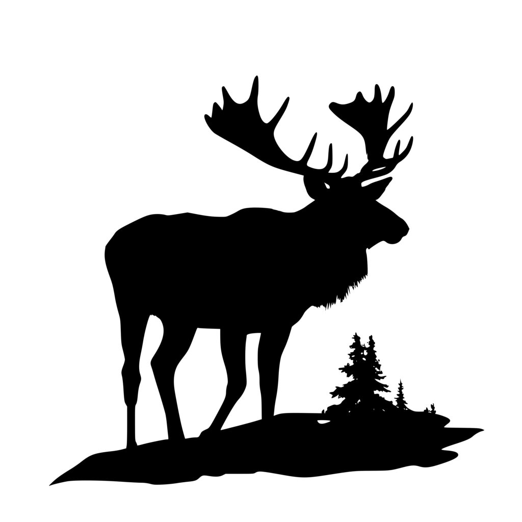 Tundra Caribou – Creative Meadow