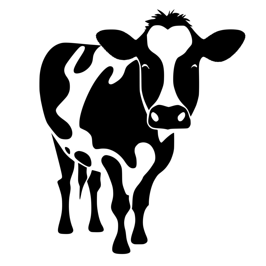 Adorable Cow – Creative Meadow