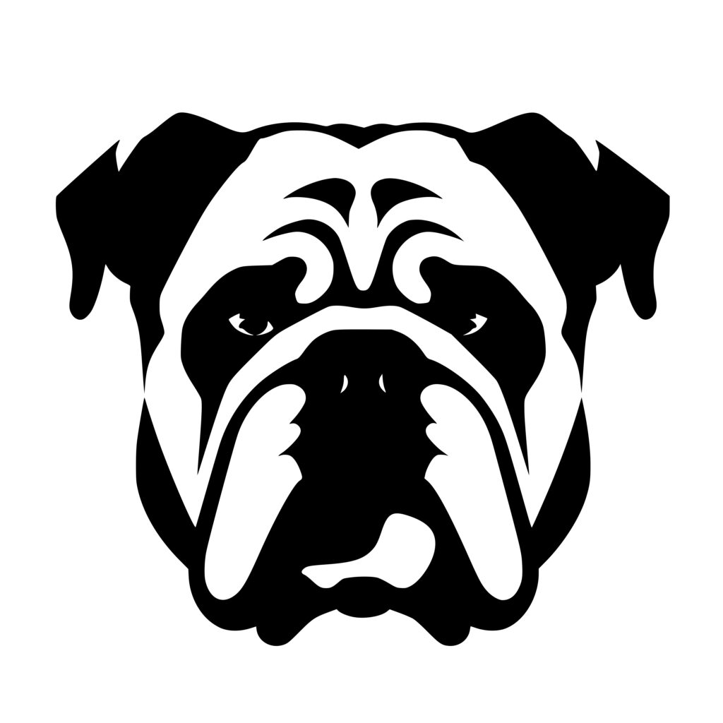 Cute Bulldog with Wrinkles - Instant Download SVG/PNG/DXF Files