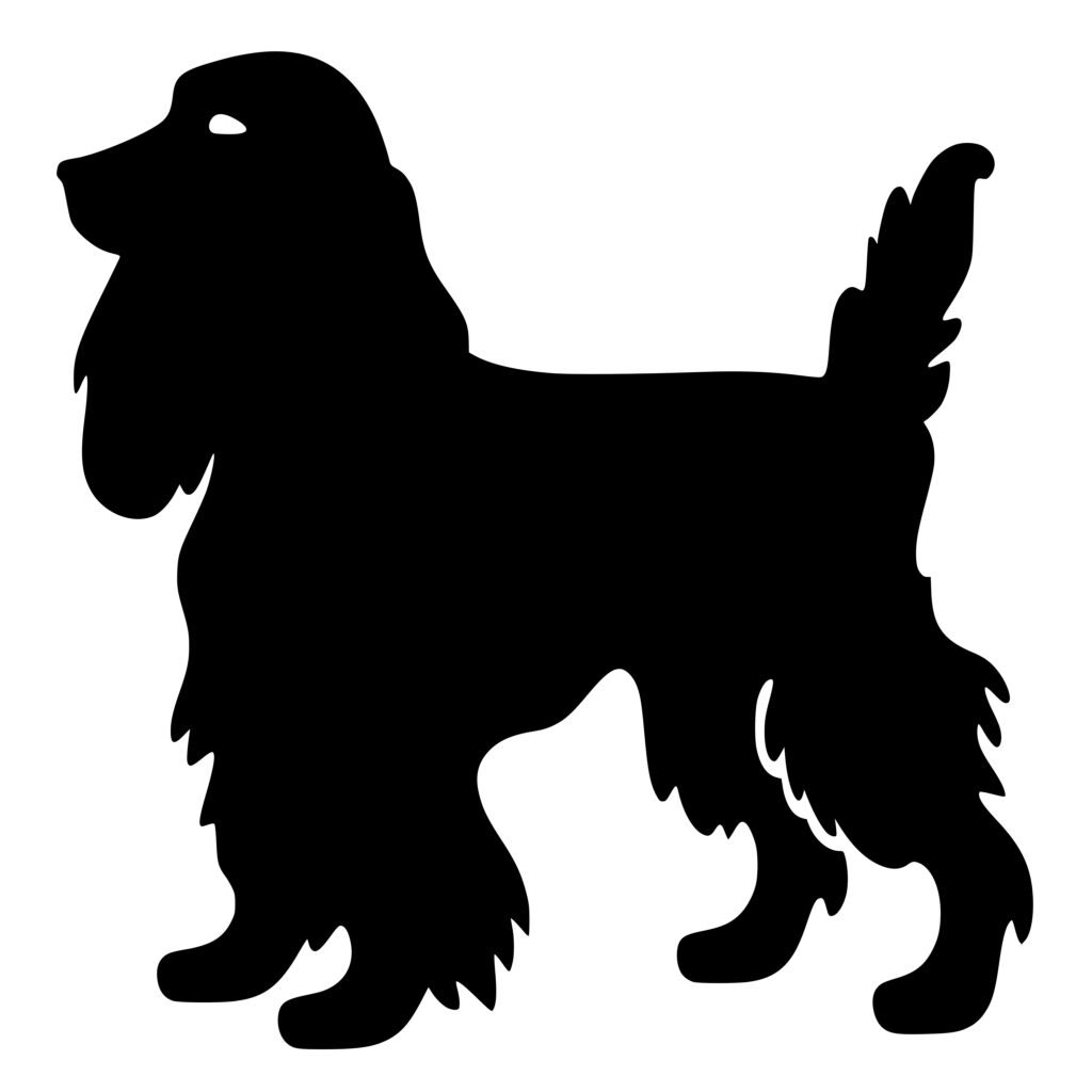 Fluffy Cocker Spaniel – Creative Meadow