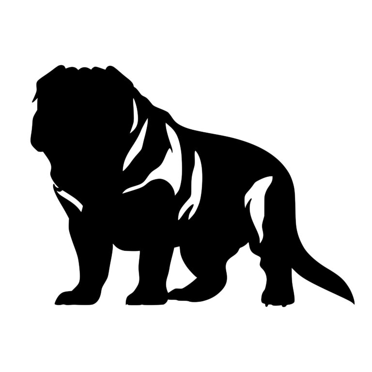 Dogs - Creative Meadow